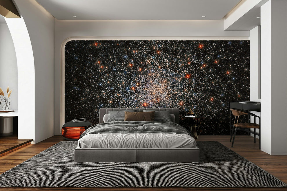 Starlight Wallpaper Mural